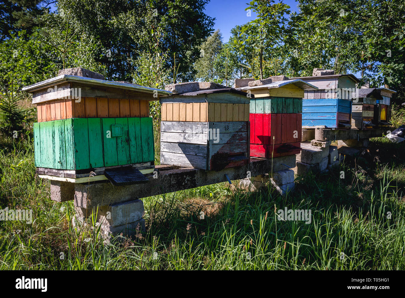 Beehives orchard hi-res stock photography and images - Alamy