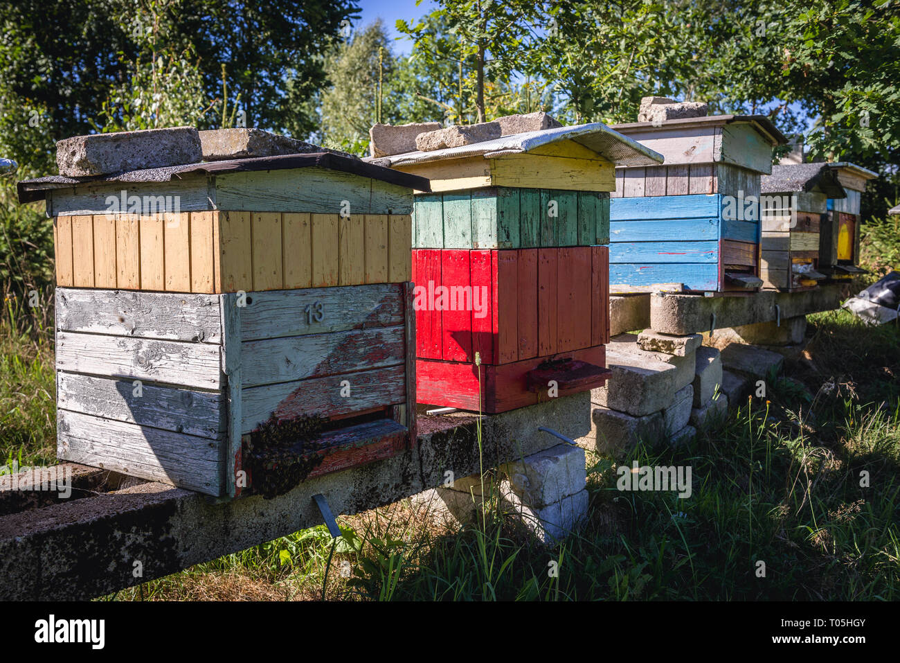 Colourful bee hives hi-res stock photography and images - Alamy