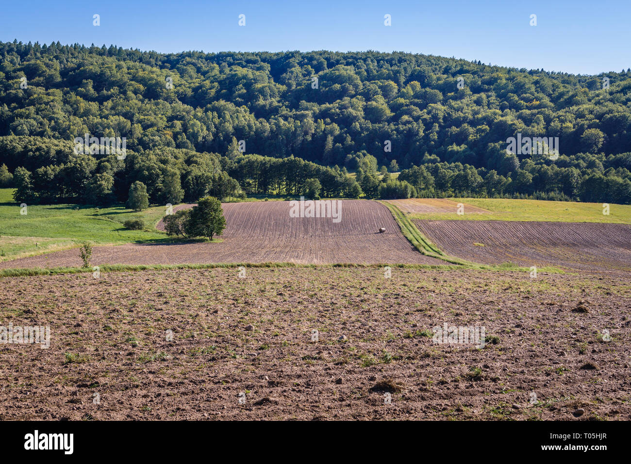 A plowed fields in Kashubia region of Poland Stock Photo - Alamy