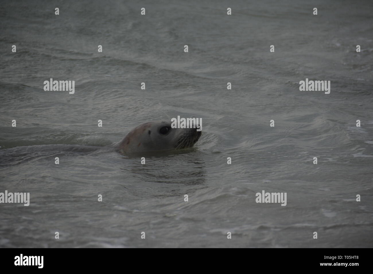 Nordsee strand meer hi-res stock photography and images - Alamy
