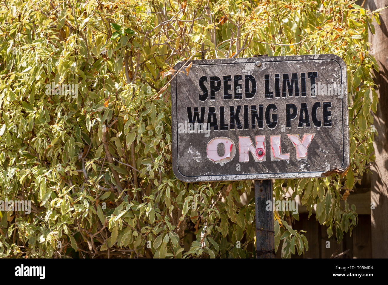 An old and faded caution sign "Speed Limit Walking Pace Only Stock ...