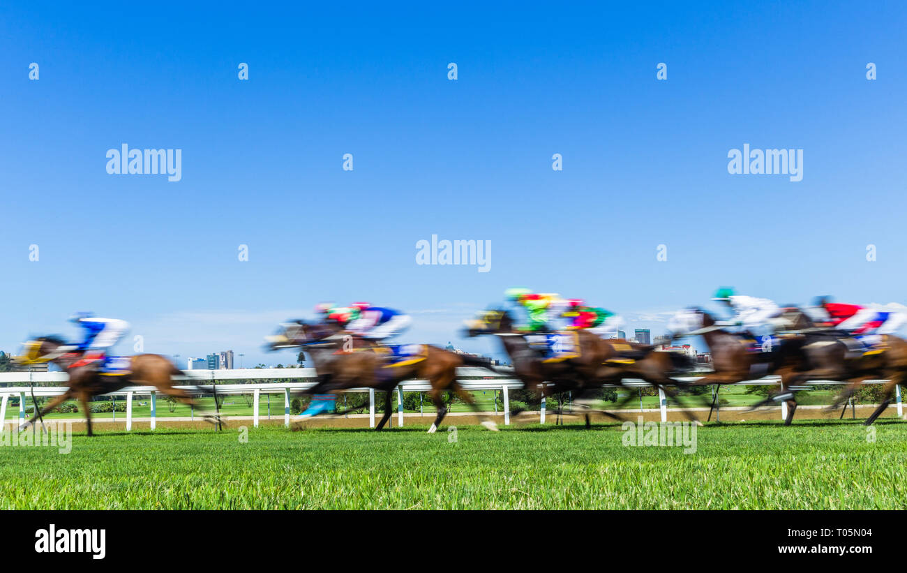 Horse running fast motion hi-res stock photography and images - Alamy