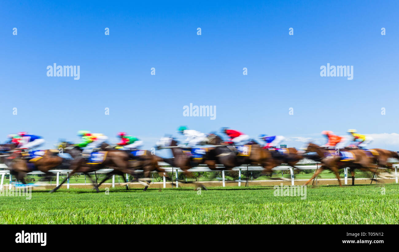 Horse Racing animals jockeys in a speed running motion blur action ...