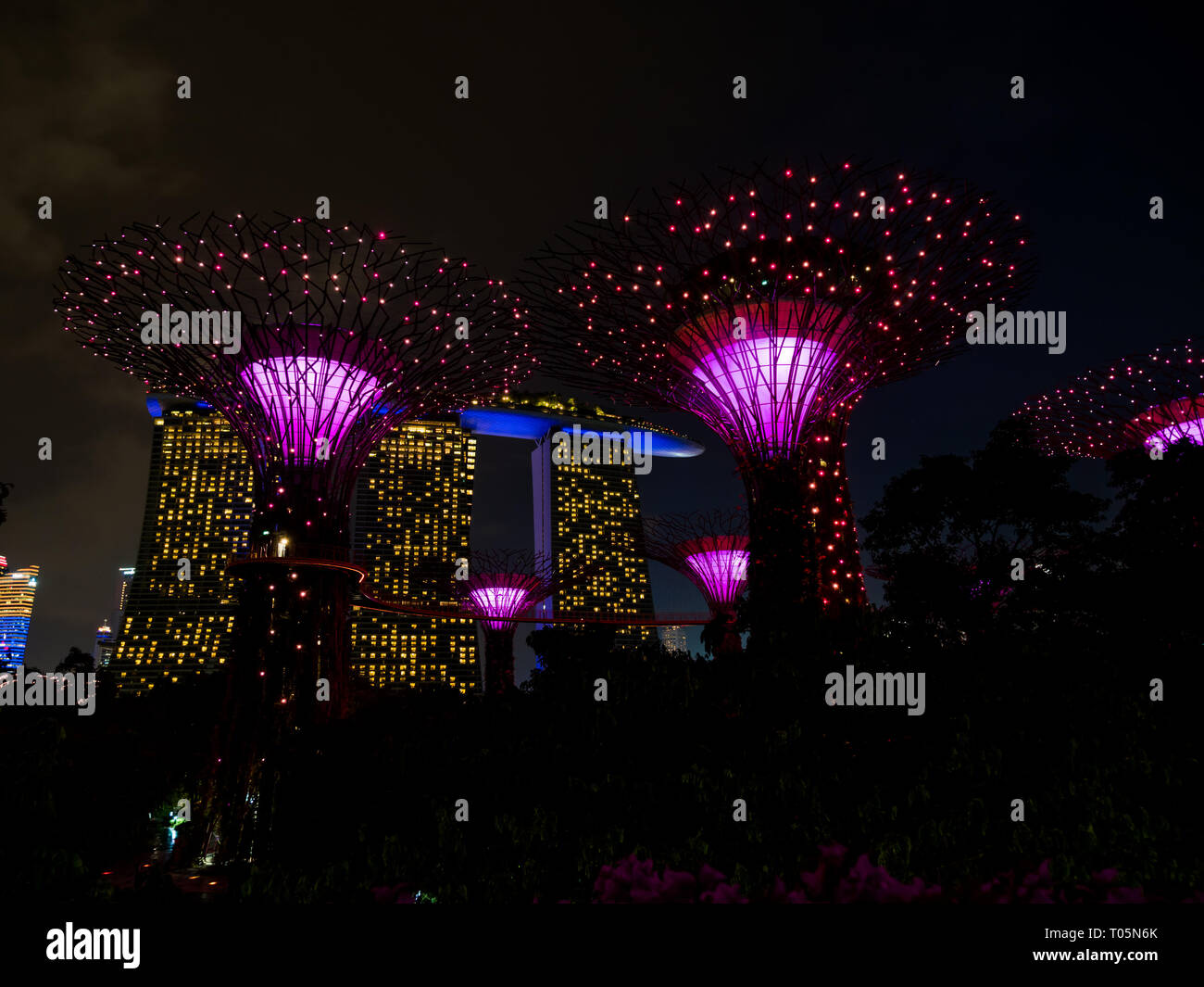 SINGAPORE CITY, SINGAPORE - FEBRUARY 03, 2019: Gardens by the bay in ...