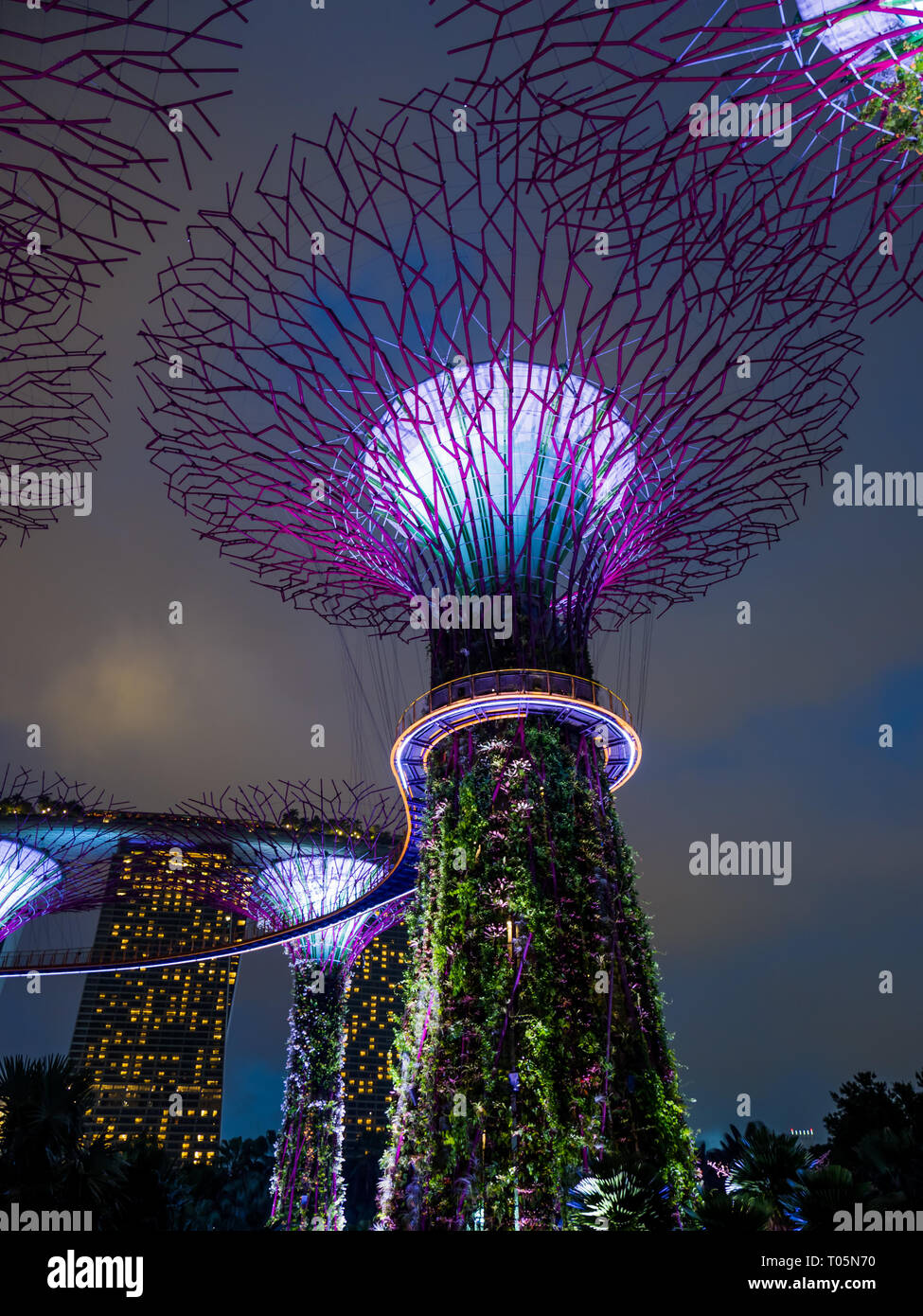 SINGAPORE CITY, SINGAPORE - FEBRUARY 03, 2019: Gardens by the bay in ...