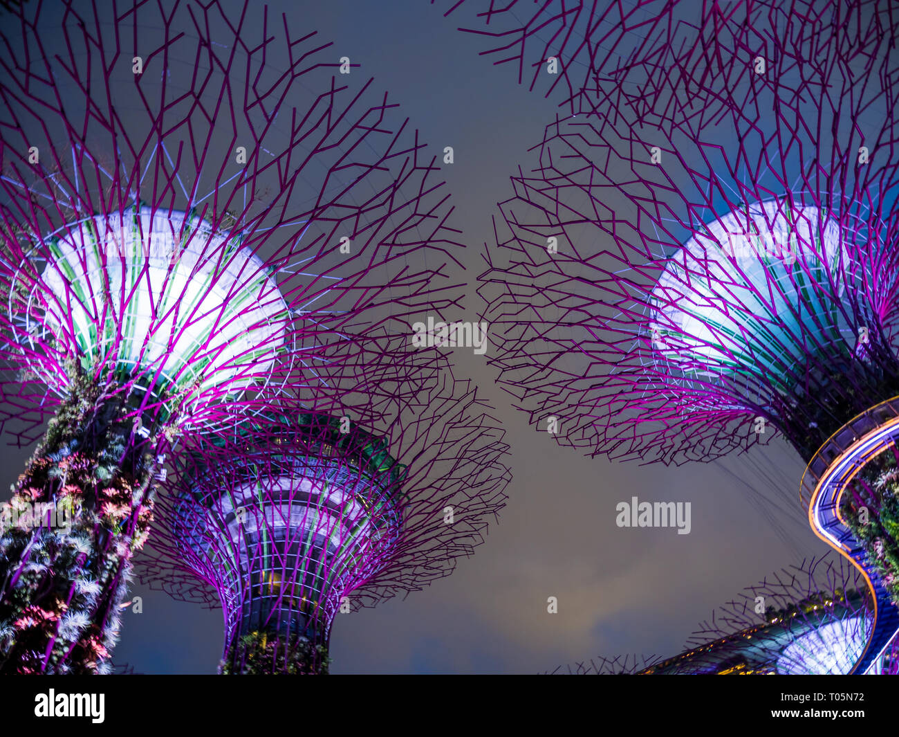 SINGAPORE CITY, SINGAPORE - FEBRUARY 03, 2019: Gardens by the bay in ...