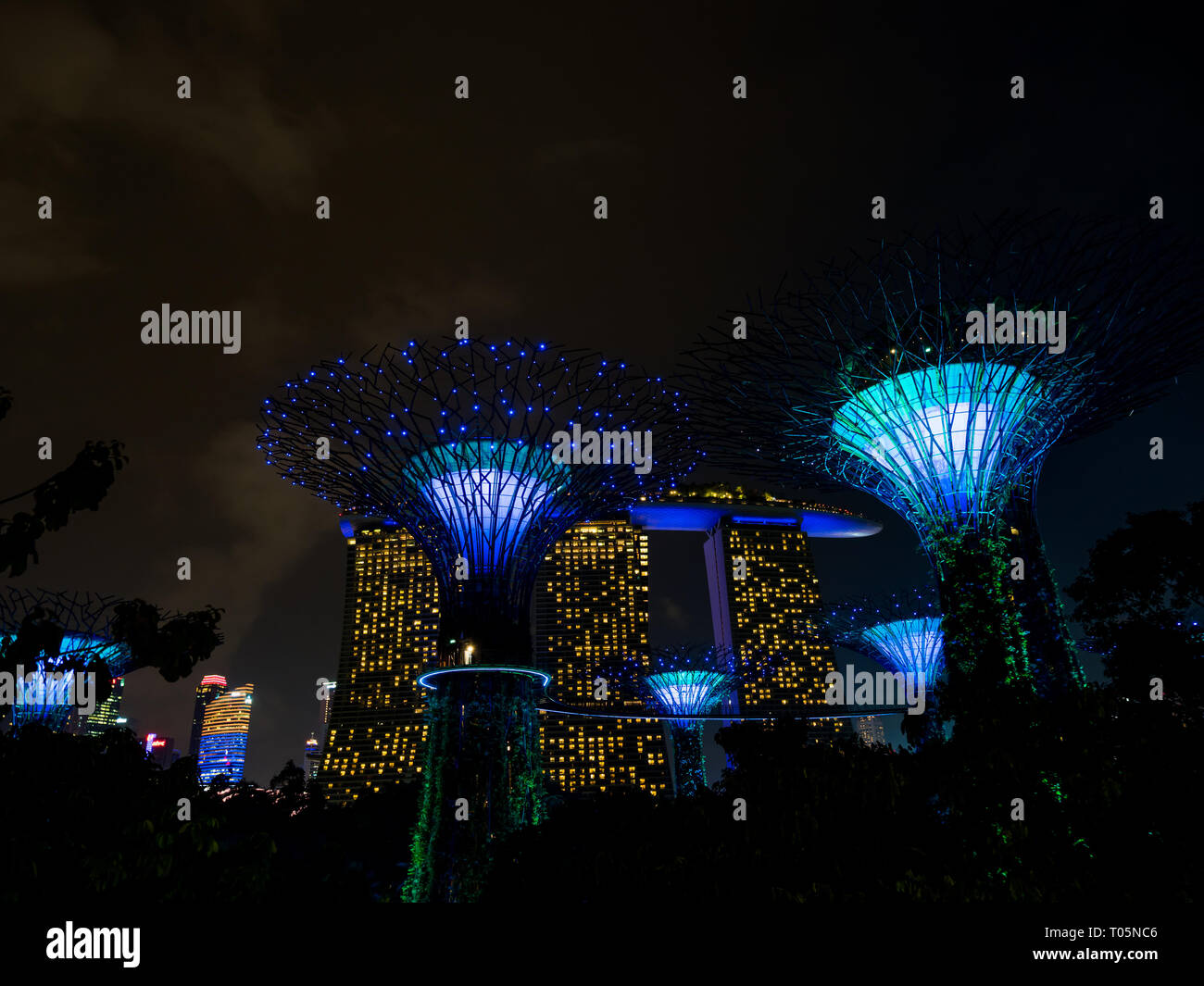 SINGAPORE CITY, SINGAPORE - FEBRUARY 03, 2019: Gardens by the bay in ...