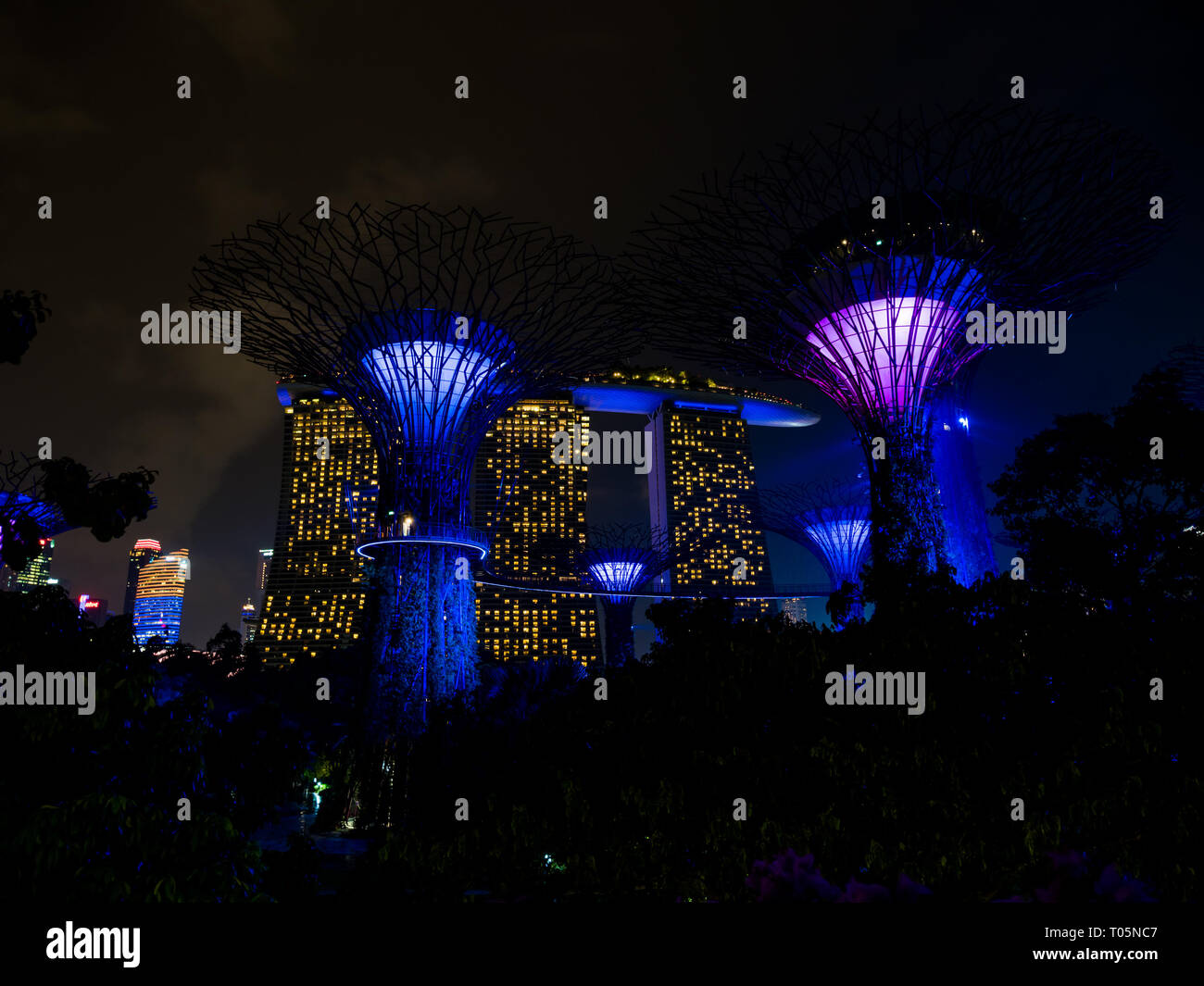 SINGAPORE CITY, SINGAPORE - FEBRUARY 03, 2019: Gardens by the bay in ...