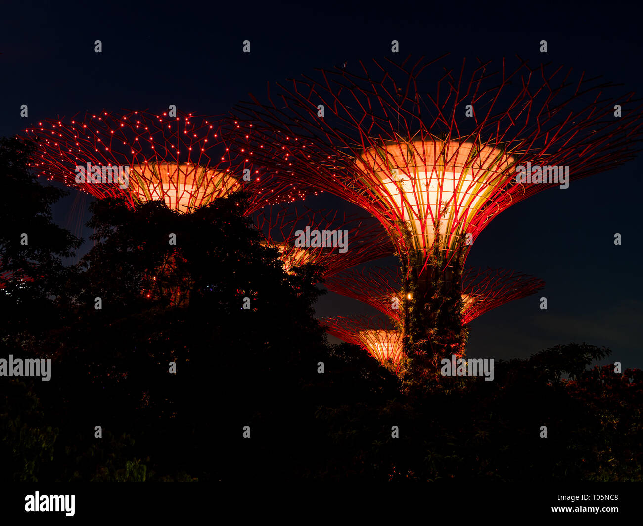 SINGAPORE CITY, SINGAPORE - FEBRUARY 03, 2019: Gardens by the bay in ...