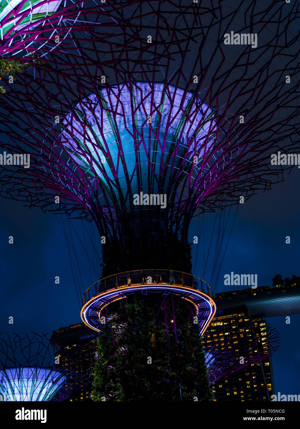 SINGAPORE CITY, SINGAPORE - FEBRUARY 03, 2019: Gardens by the bay in ...
