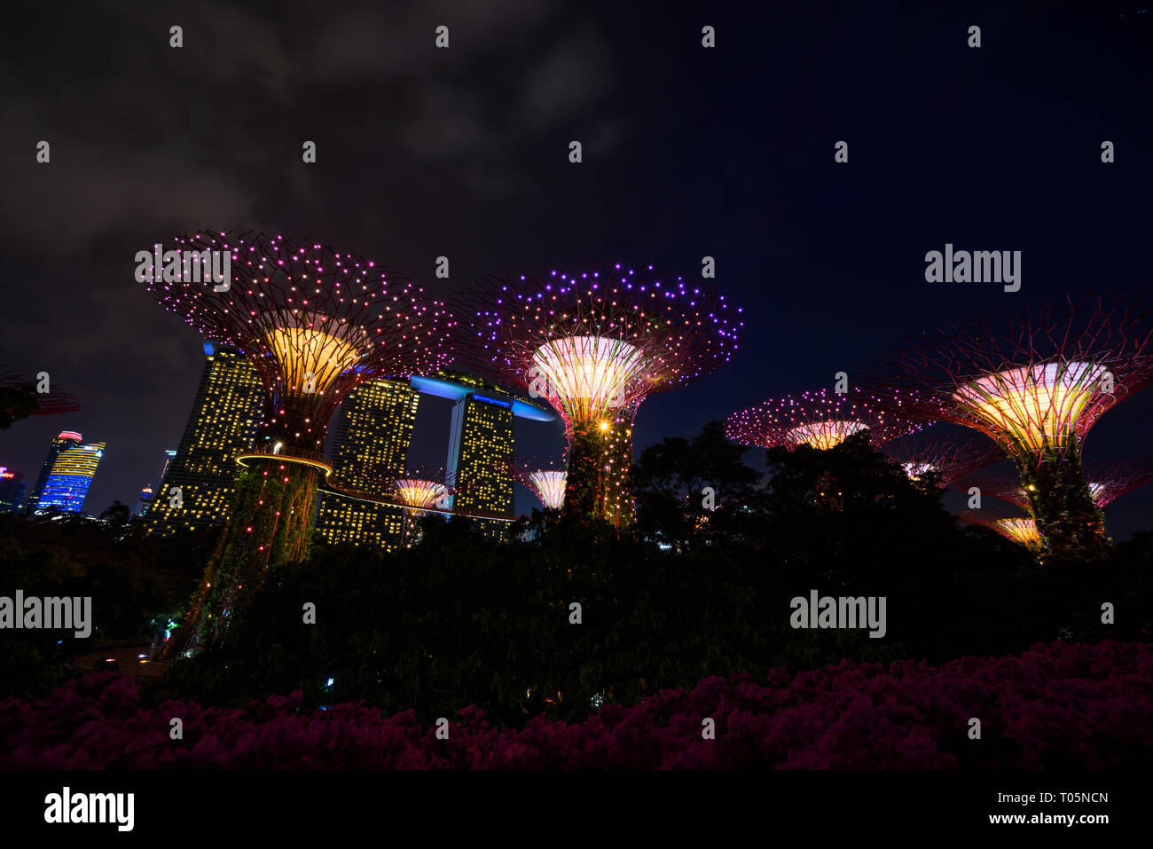 SINGAPORE CITY, SINGAPORE - FEBRUARY 03, 2019: Gardens by the bay in ...