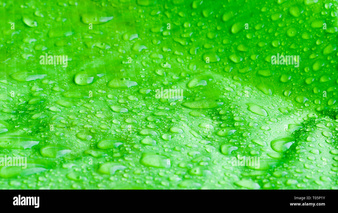 Waterproof textiles hi-res stock photography and images - Alamy