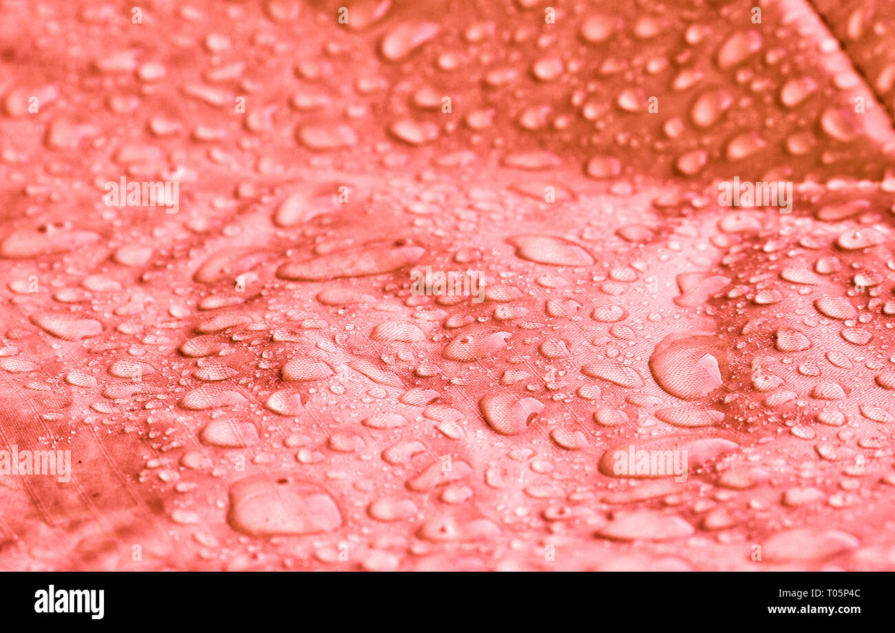Large drops of water on textiles with a waterproof effect Stock Photo ...