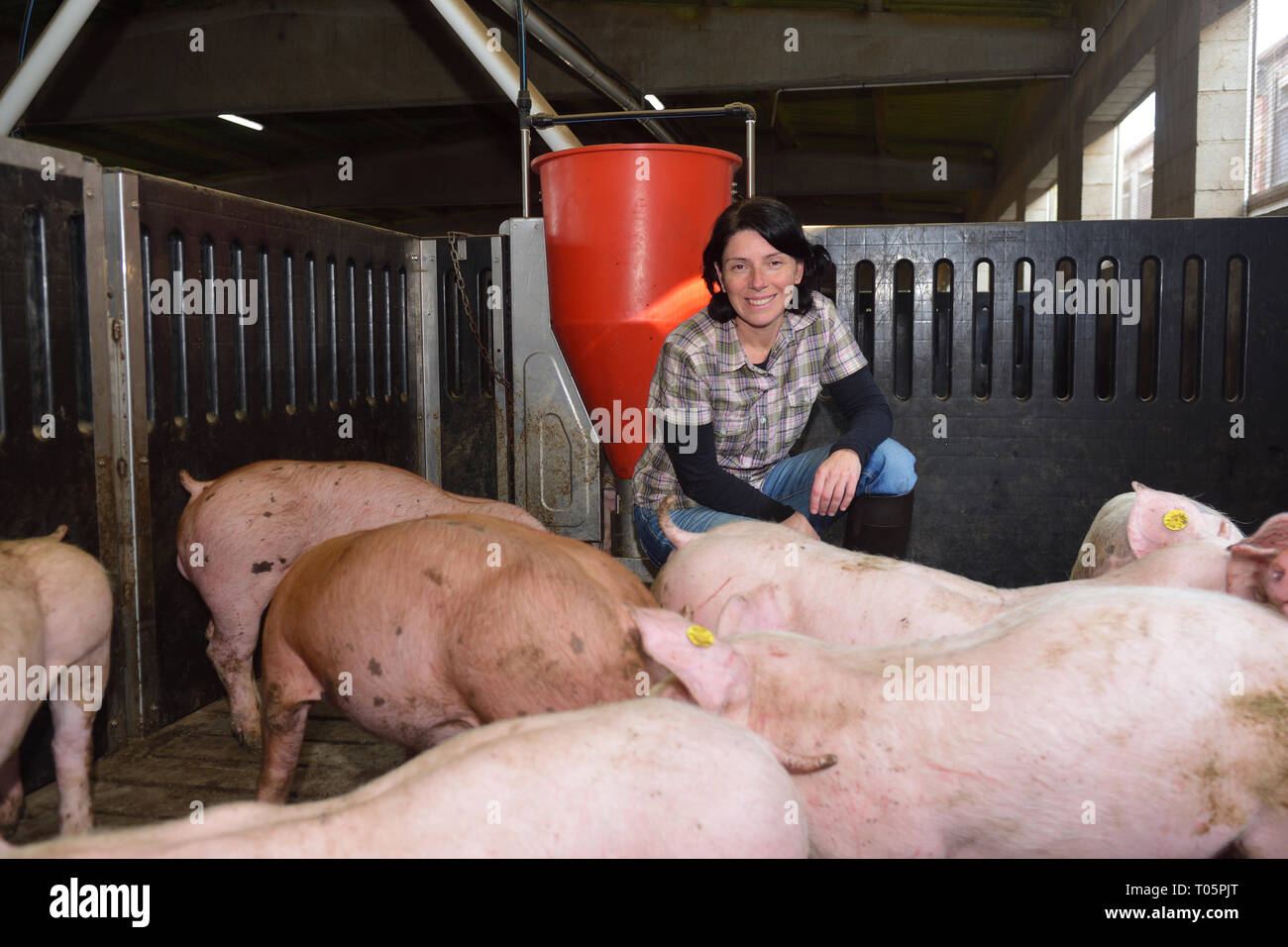 portrait of a farm woman on a pig farm Stock Photo - Alamy