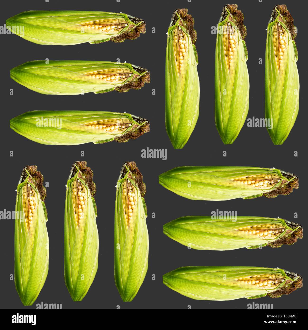 Raster cross seamless pattern. Three ears of corn on a black background ...