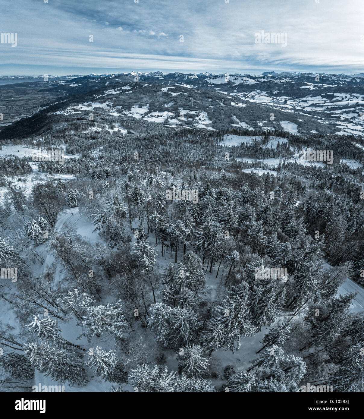 Stunning drone shots above a Snow covered forest landscape with views ...