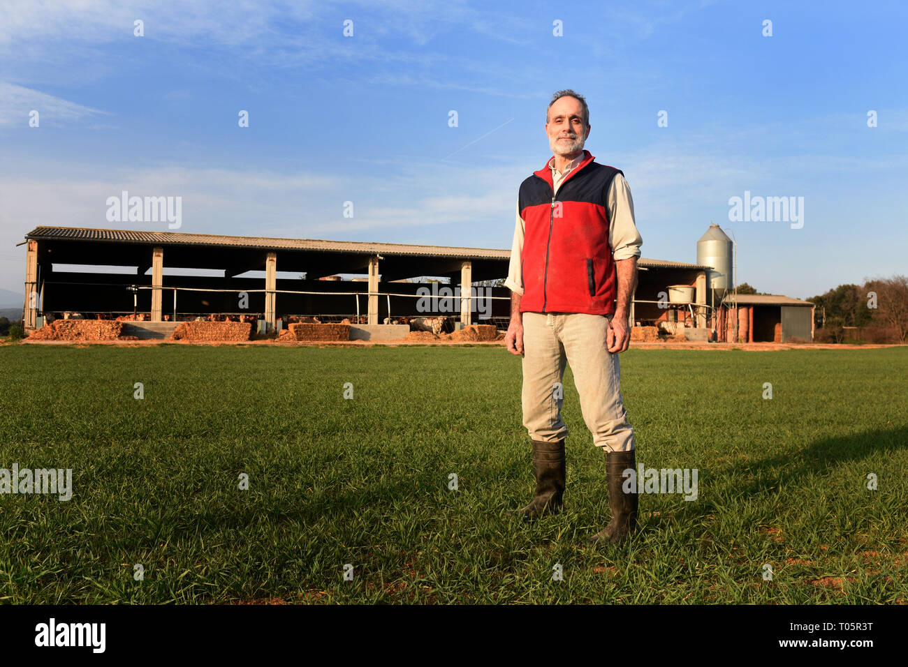 Portrait of a farmer in the countryside with a farm at sunset ...