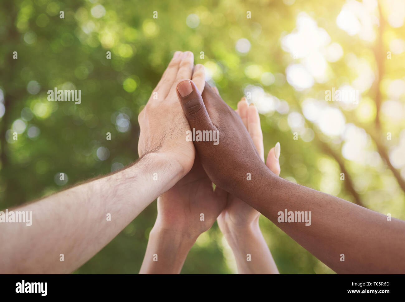 Business team giving group high five in park Stock Photo - Alamy