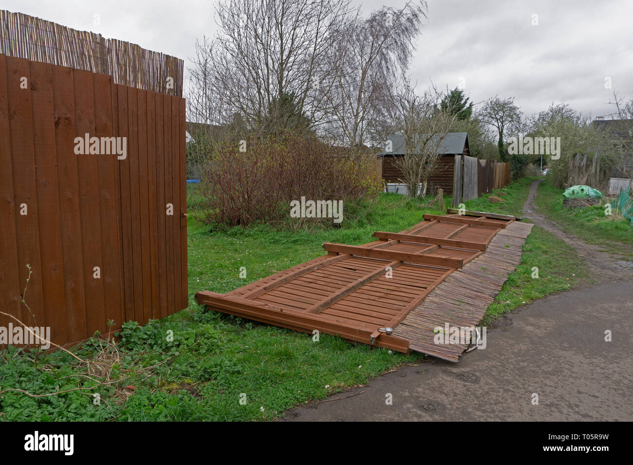 wooden fence blown over by strong wind Stock Photo - Alamy