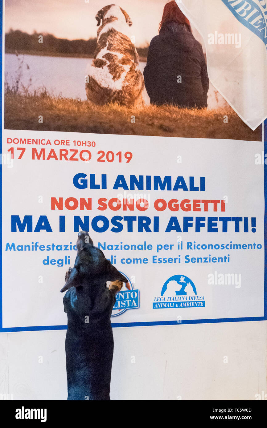 Foto Francesco Bozzo - LaPresse17-03-2019 Milano - Hotel ...