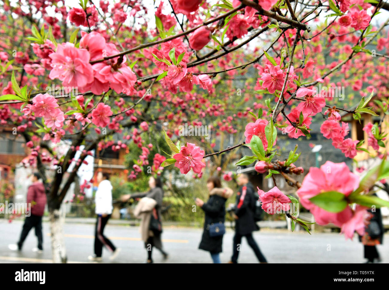 Shaoyang city hi-res stock photography and images - Alamy