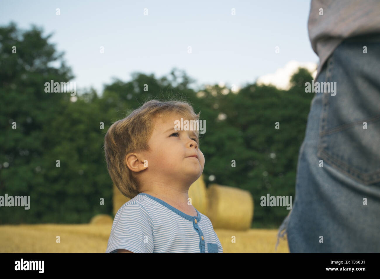 Son look at father in harvest field with straw bales Stock Photo - Alamy