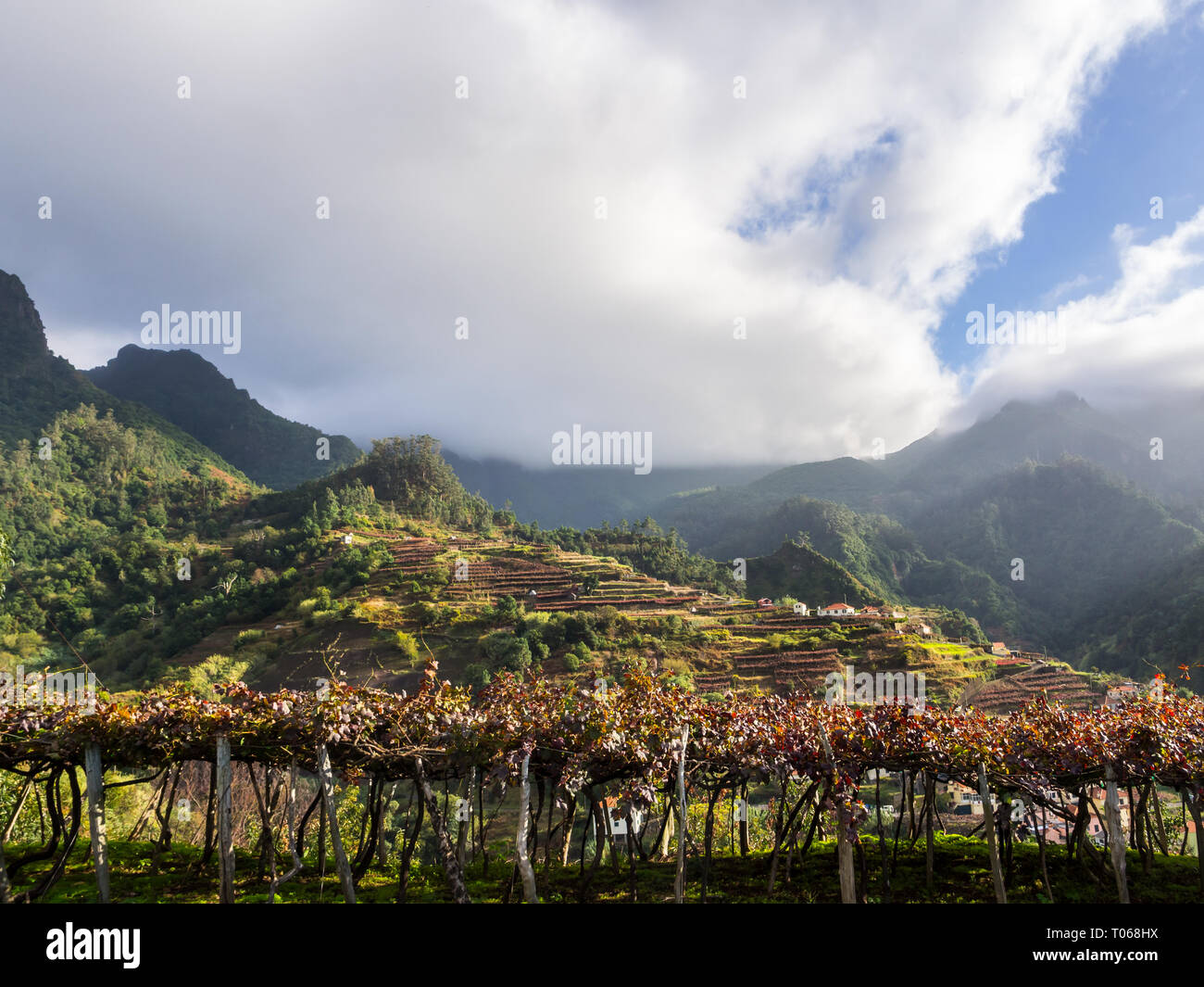 Houses and landscape on the Madeira island, Portugal Stock Photo - Alamy