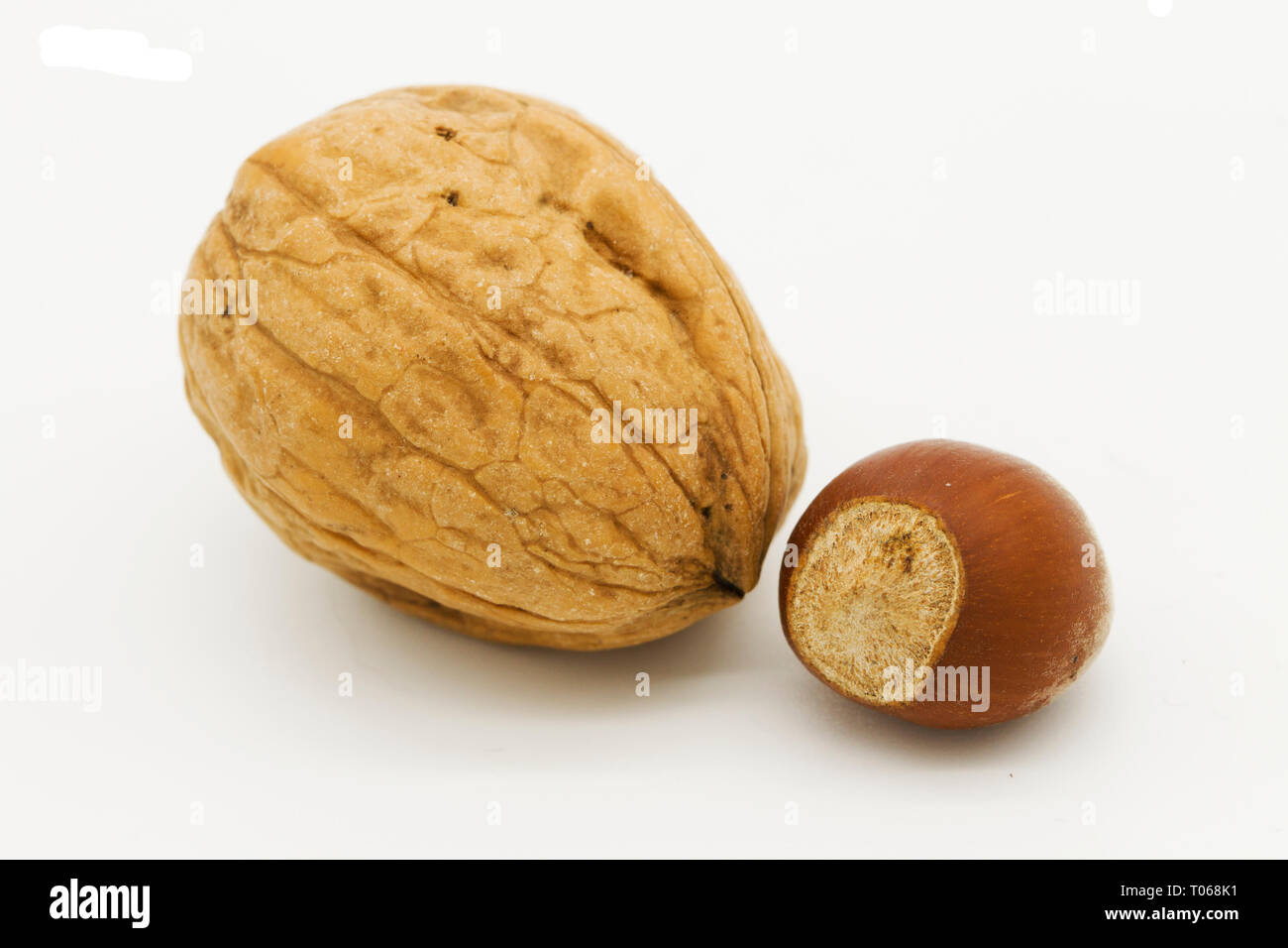 Noix et noisettes, nuts Stock Photo - Alamy