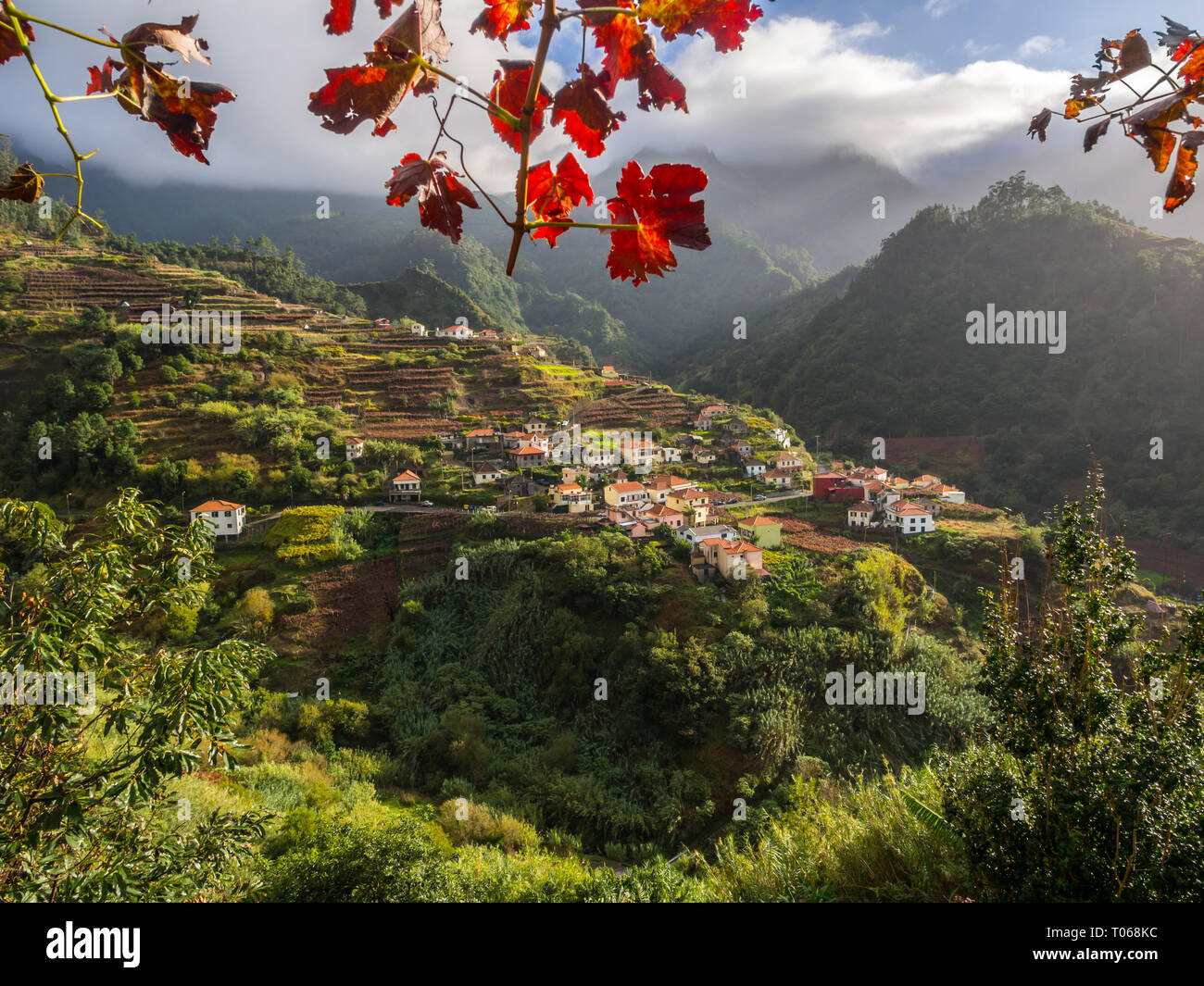 Houses and landscape on the Madeira island, Portugal Stock Photo - Alamy