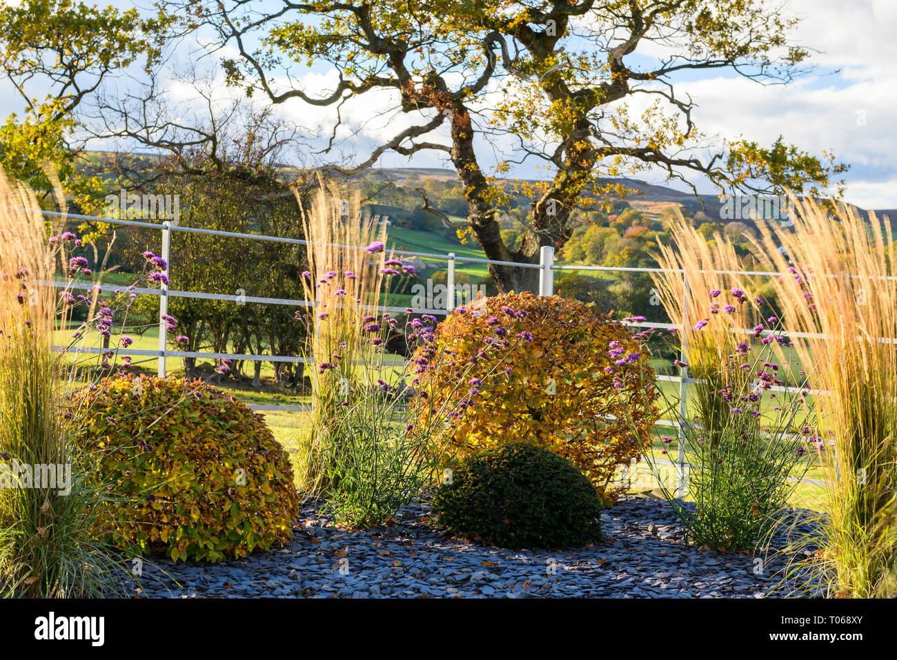 Autumn colour in beautiful private garden - stylish, contemporary ...