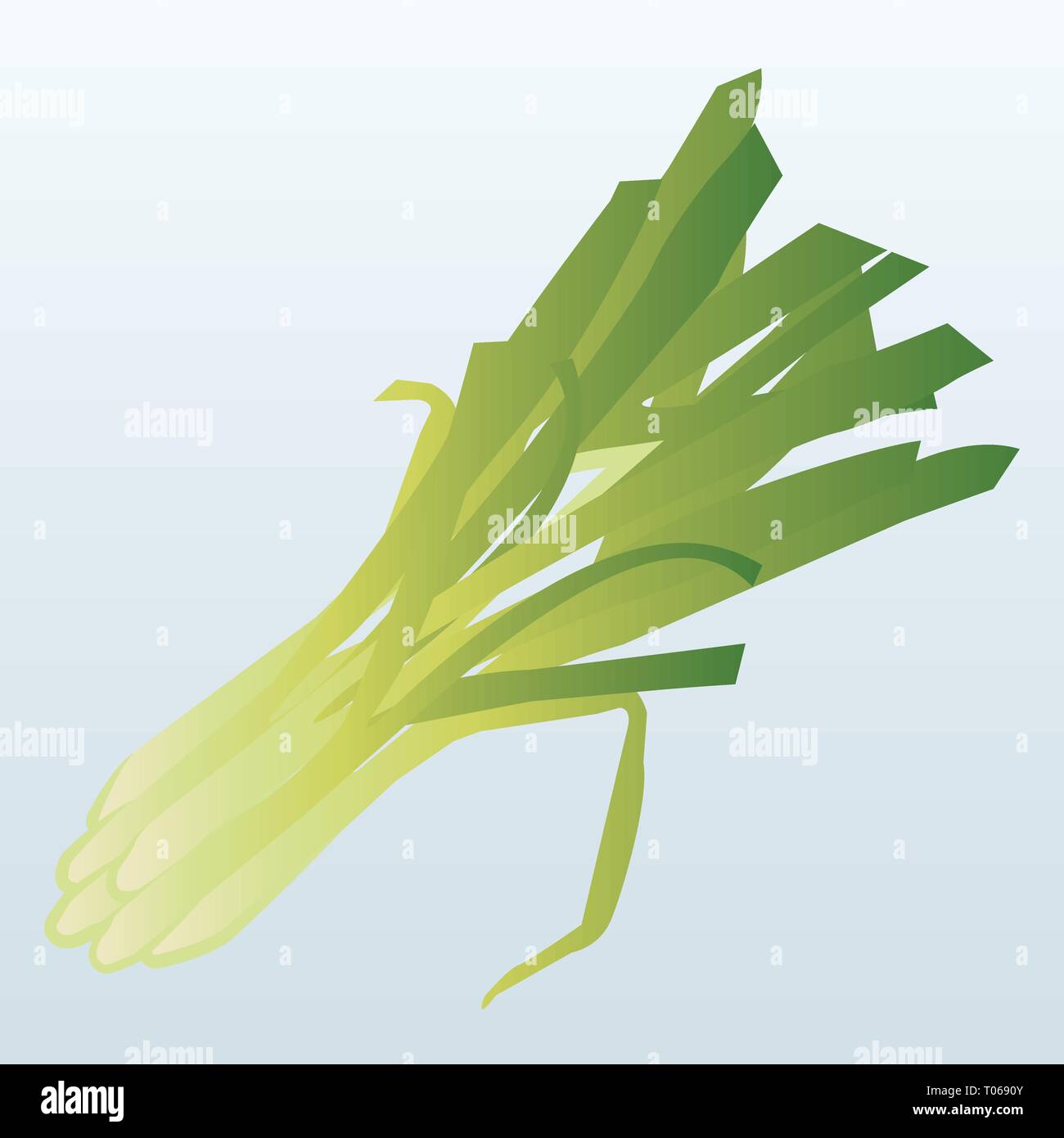 A bunch of lemongrass vector illustration Stock Vector Image & Art - Alamy