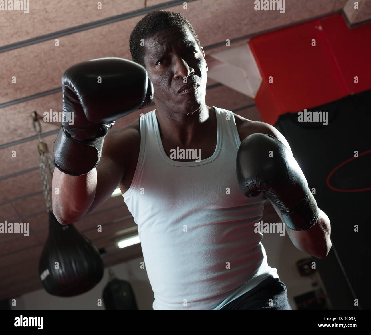 Confident afro american boxer holds training in the ring Stock Photo ...