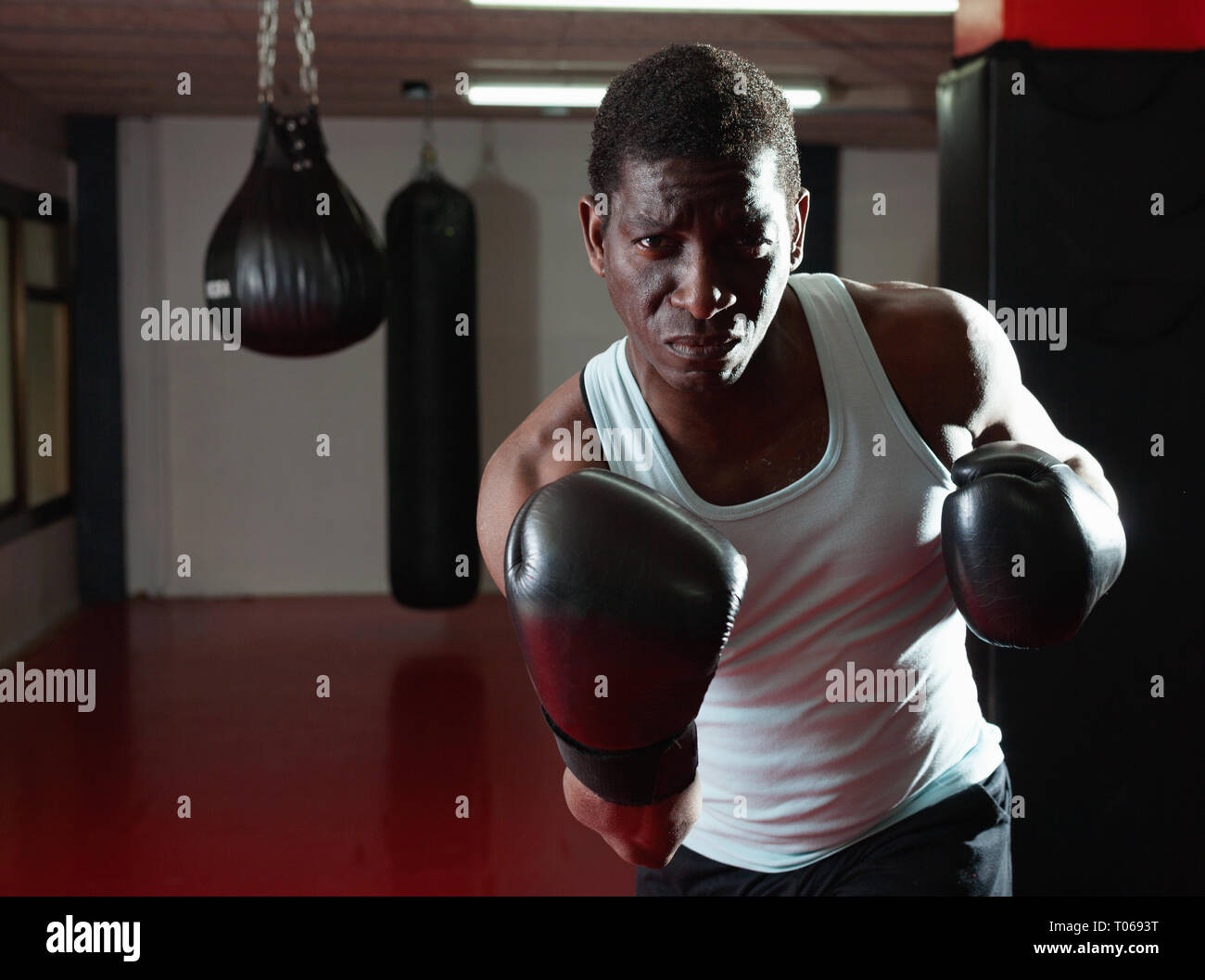 Confident cheerful positive afro american boxer holds training in the ...