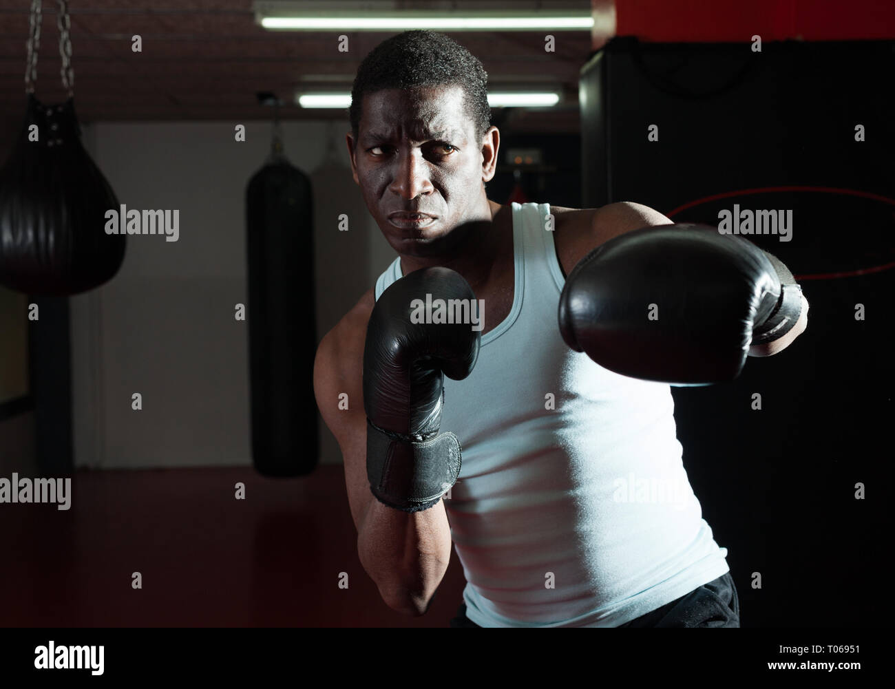 Confident afro american boxer holds training in the ring Stock Photo ...