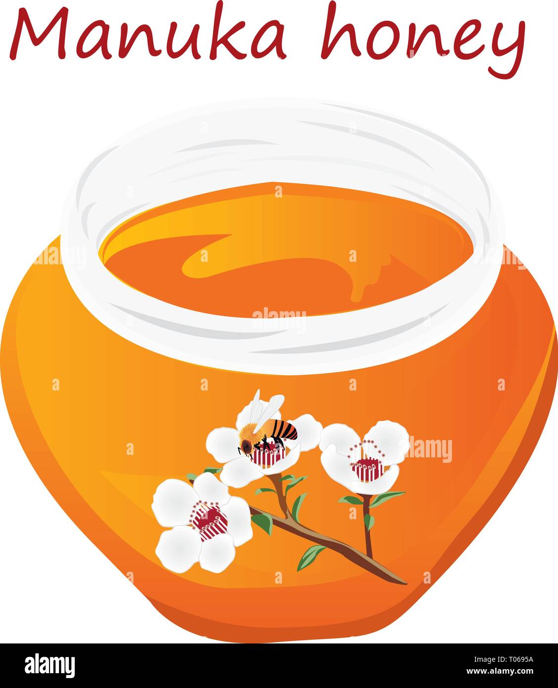 Manuka honey and A brunch of manuka blooming and a bee vector ...
