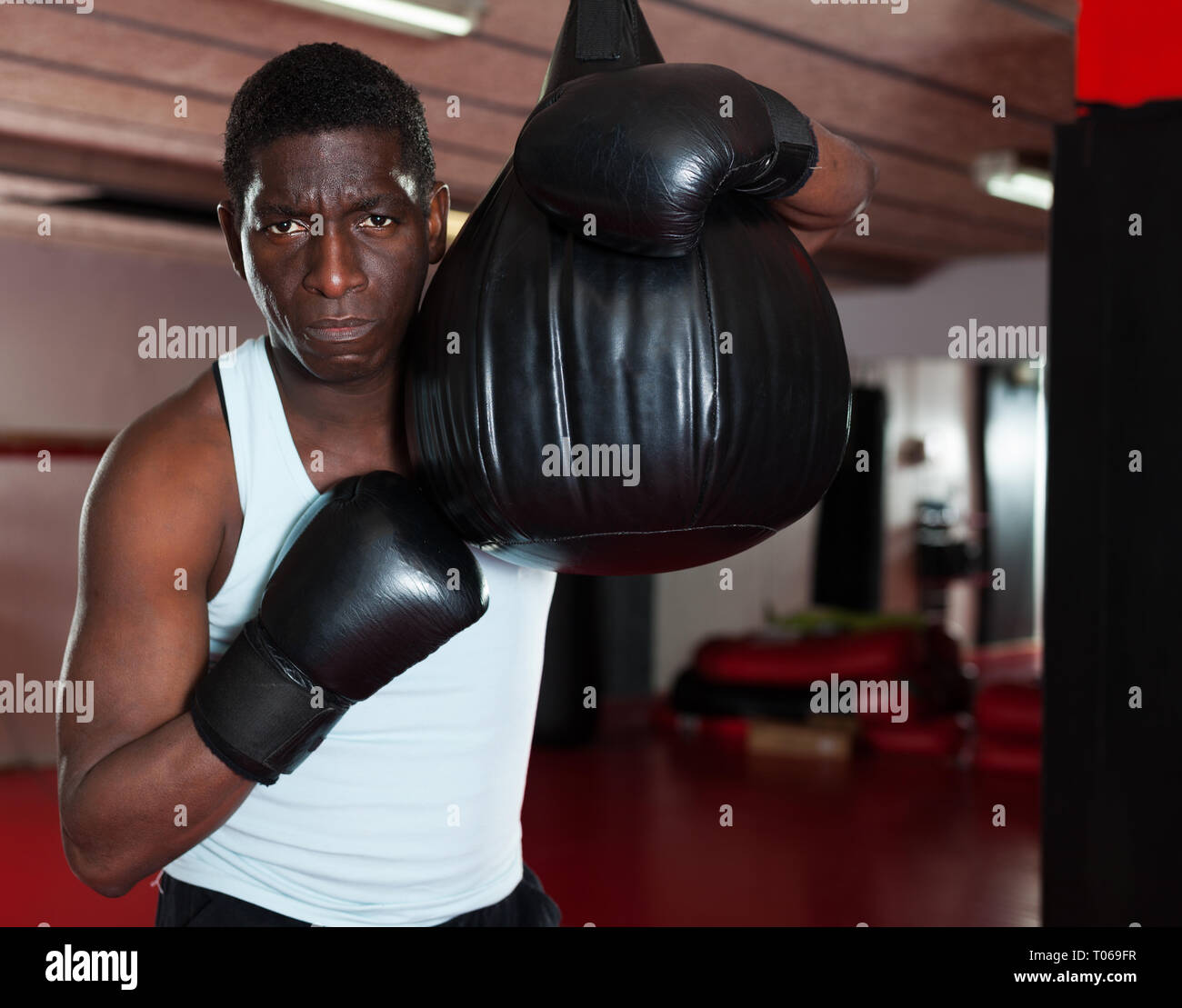 Confident afro american adut boxer holds training in the ring Stock ...