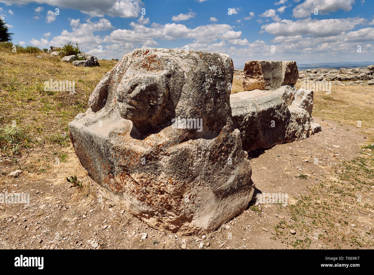 Hittite Lion sculptures of Temple I, Hattusa (also Ḫattuša or Hattusas ...