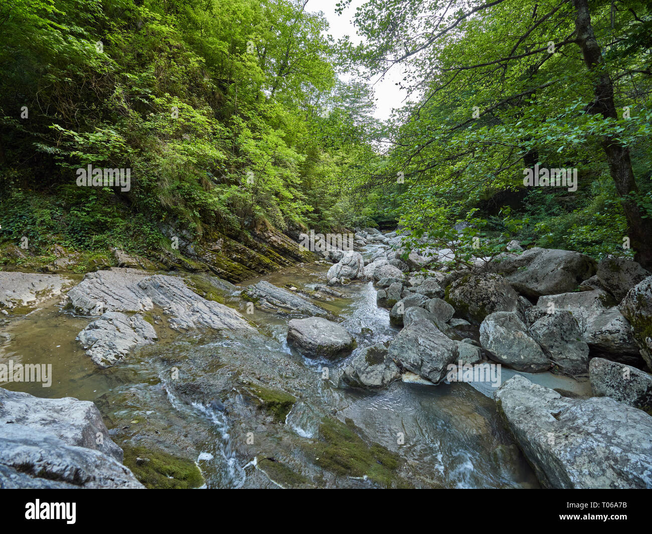 The mountain river flows through the cliffs into the gorges with thick ...