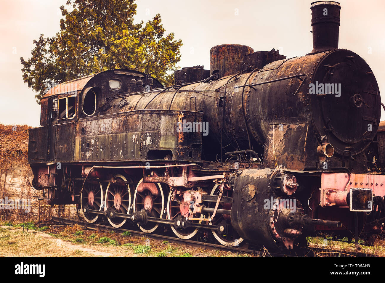old abandoned steam locomotive, Sibiu, Romania Stock Photo - Alamy