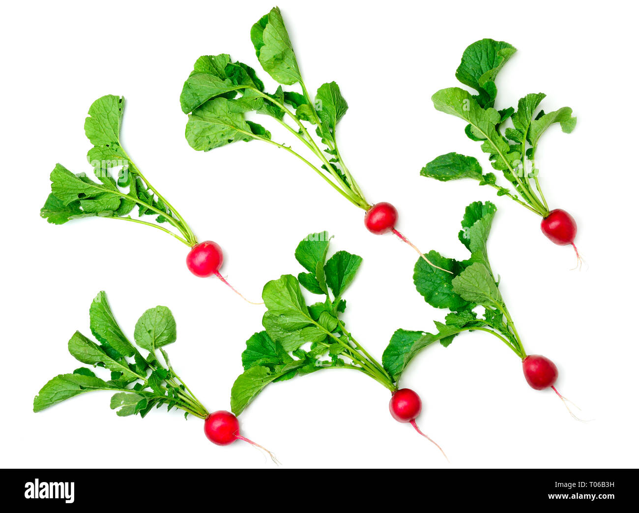 radish isolated on white background Stock Photo - Alamy
