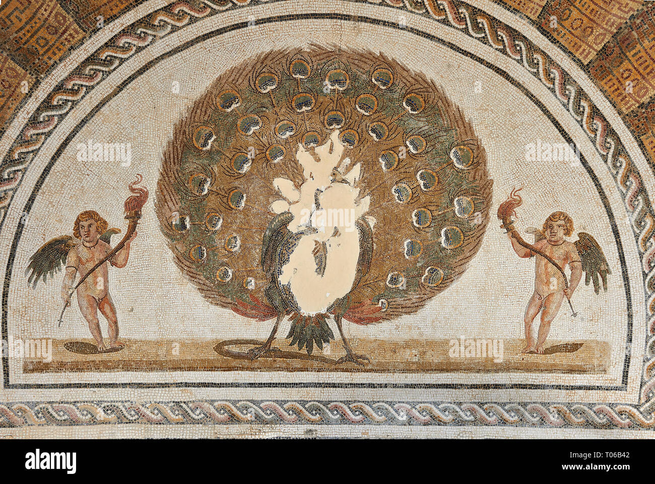 Pictures of an apse Roman mosaics design depicting a peacock spreading ...