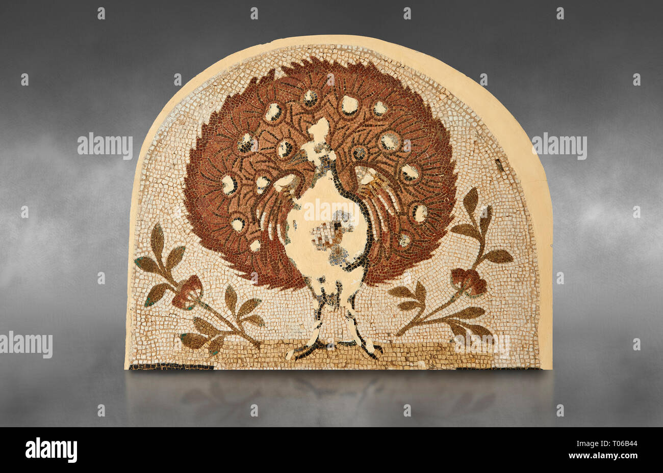 Peacock mosaics hi-res stock photography and images - Alamy