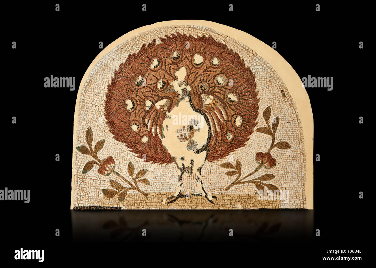 Pictures of an apse Roman mosaics design depicting a peacock spreading ...