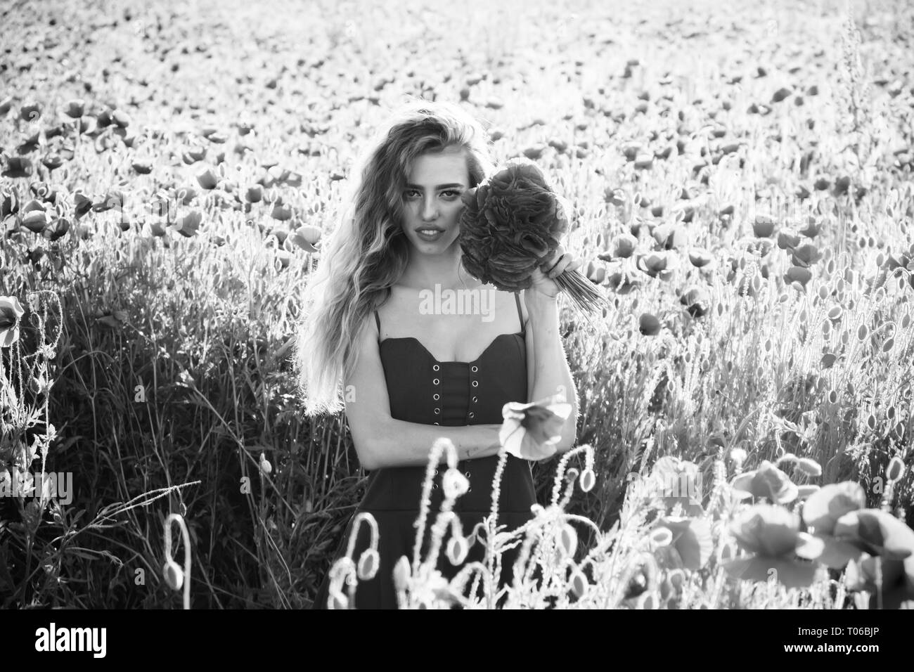 poppy seed bouquet at girl with long curly hair Stock Photo - Alamy