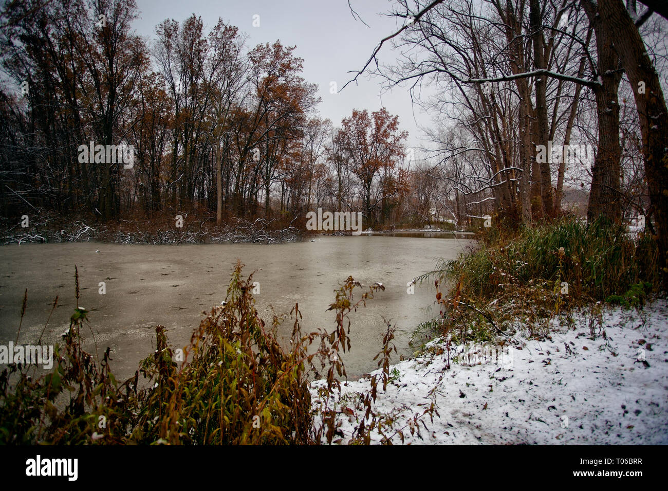 Windsor, Ontario Canada Fall Autumn Malden Park Pond Late Afternoon ...