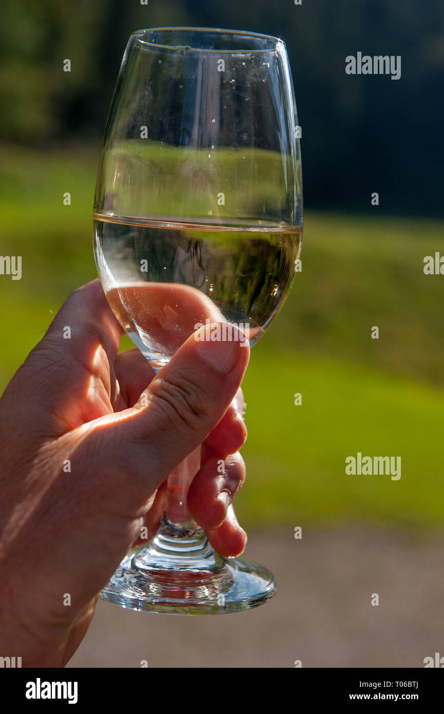 glass of wine seen in backlight to observe the purity Stock Photo - Alamy