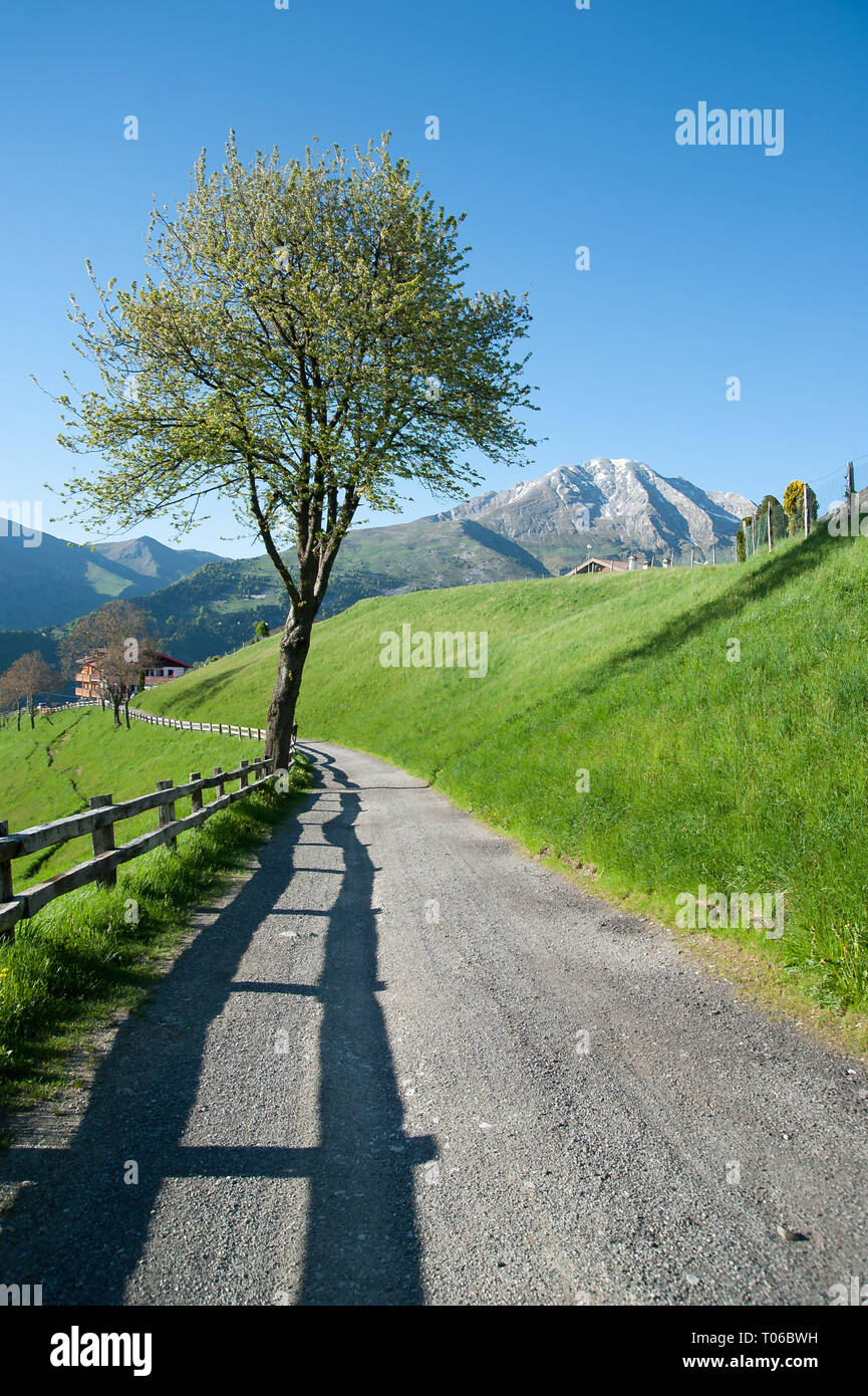 way in nature Stock Photo - Alamy