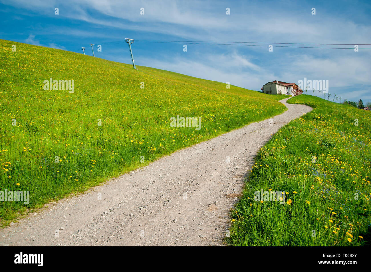 way in nature Stock Photo - Alamy