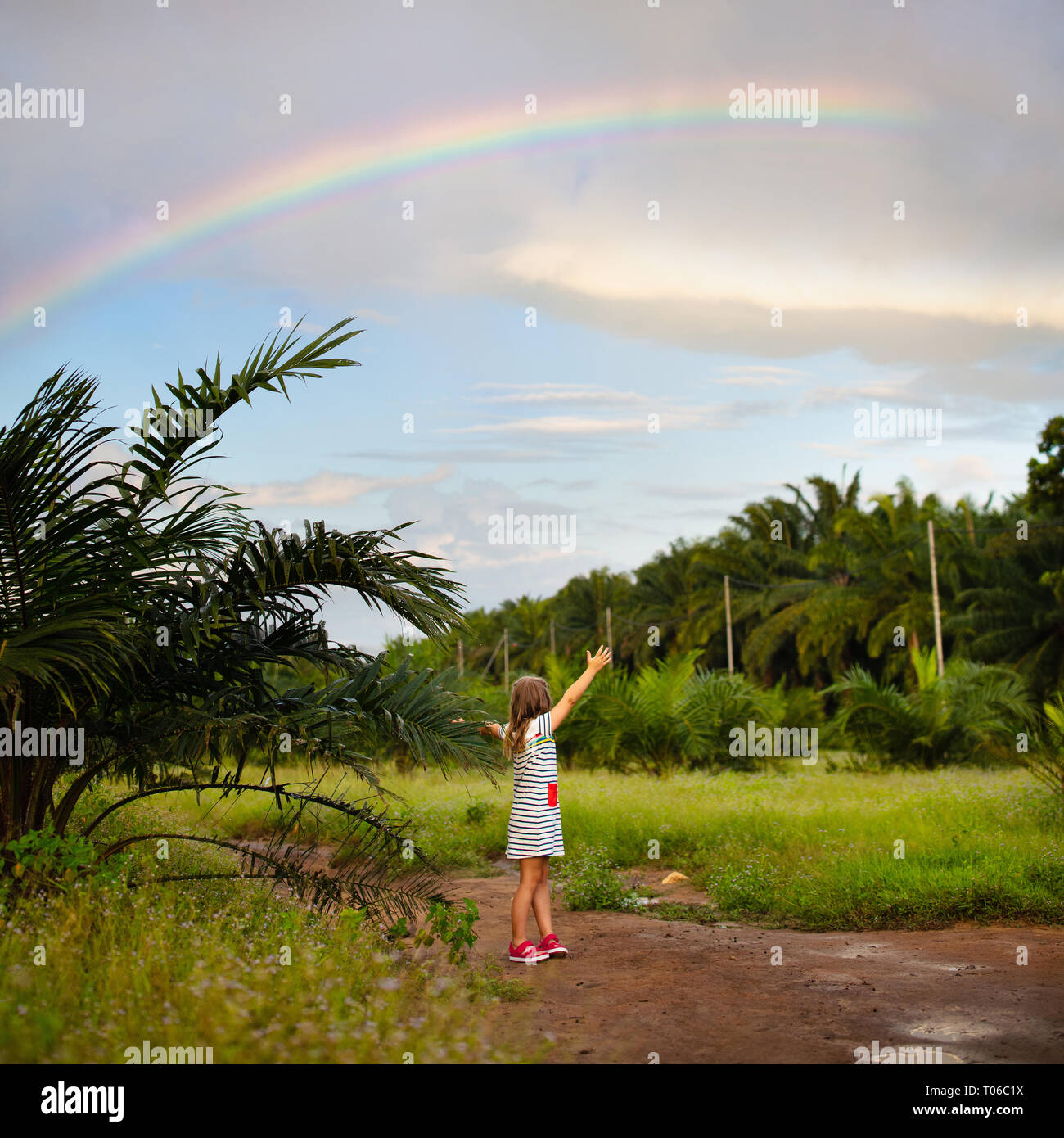 Child watching rainbow on tropical island with palm trees. Kids play ...