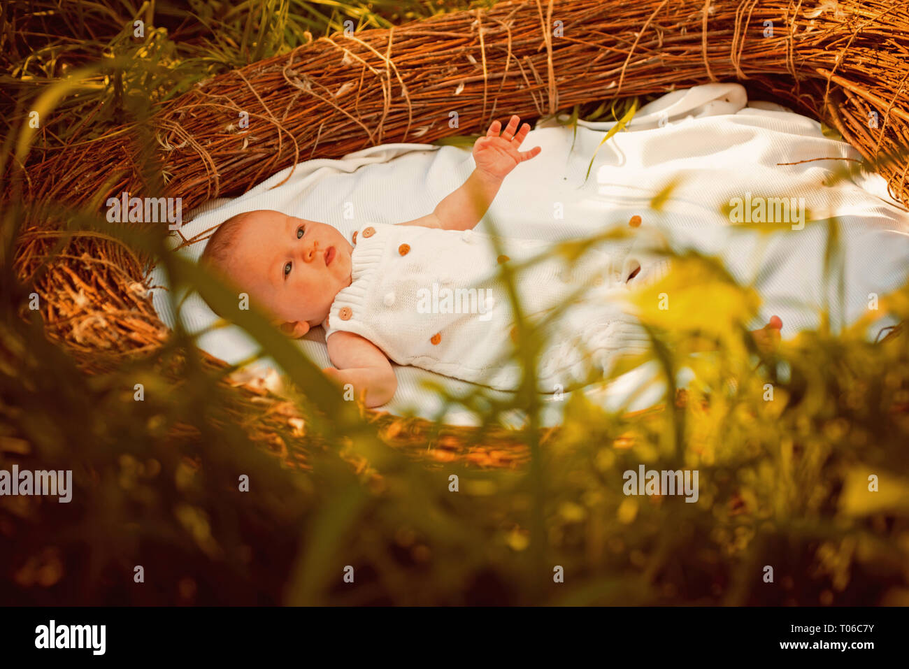 Family psychology. Infant developmentl psychology. Newborn baby in crib ...